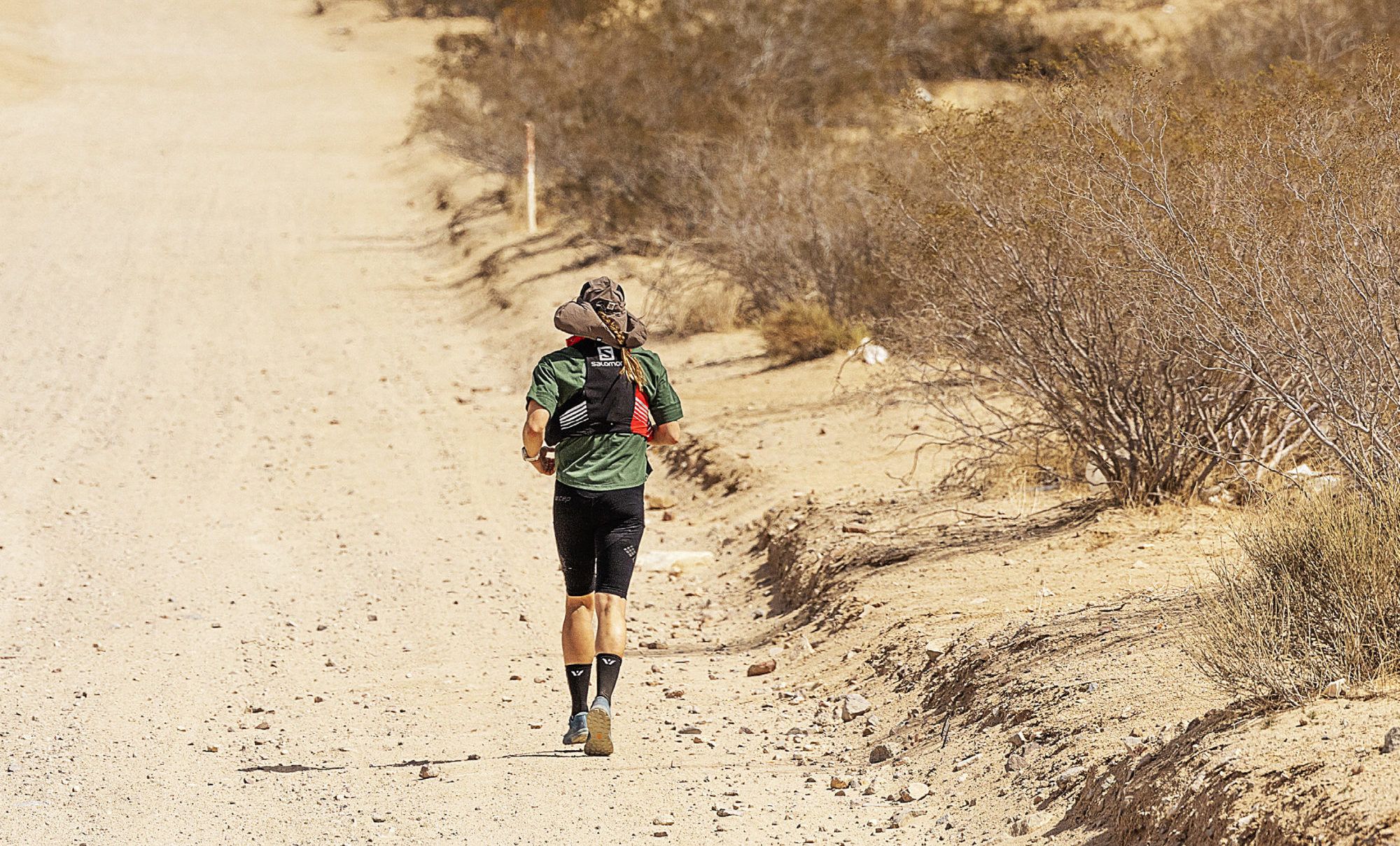 Like the Wind Magazine – It's not How to Run, it's Why we Run